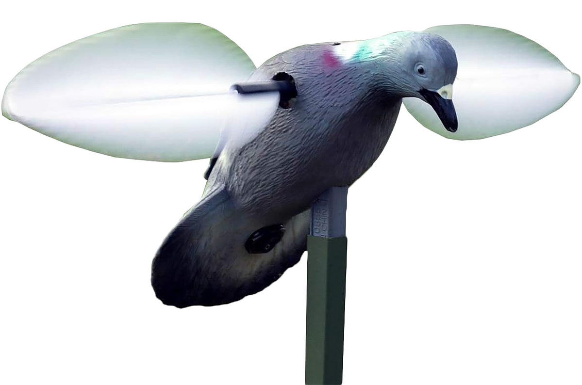Mojo Outdoors HW2410 Pigeon Species Multi Color Plastic — AmmoJoy